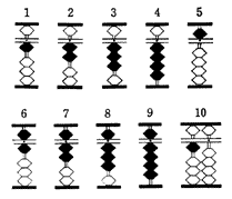 Preliminary Knowledge